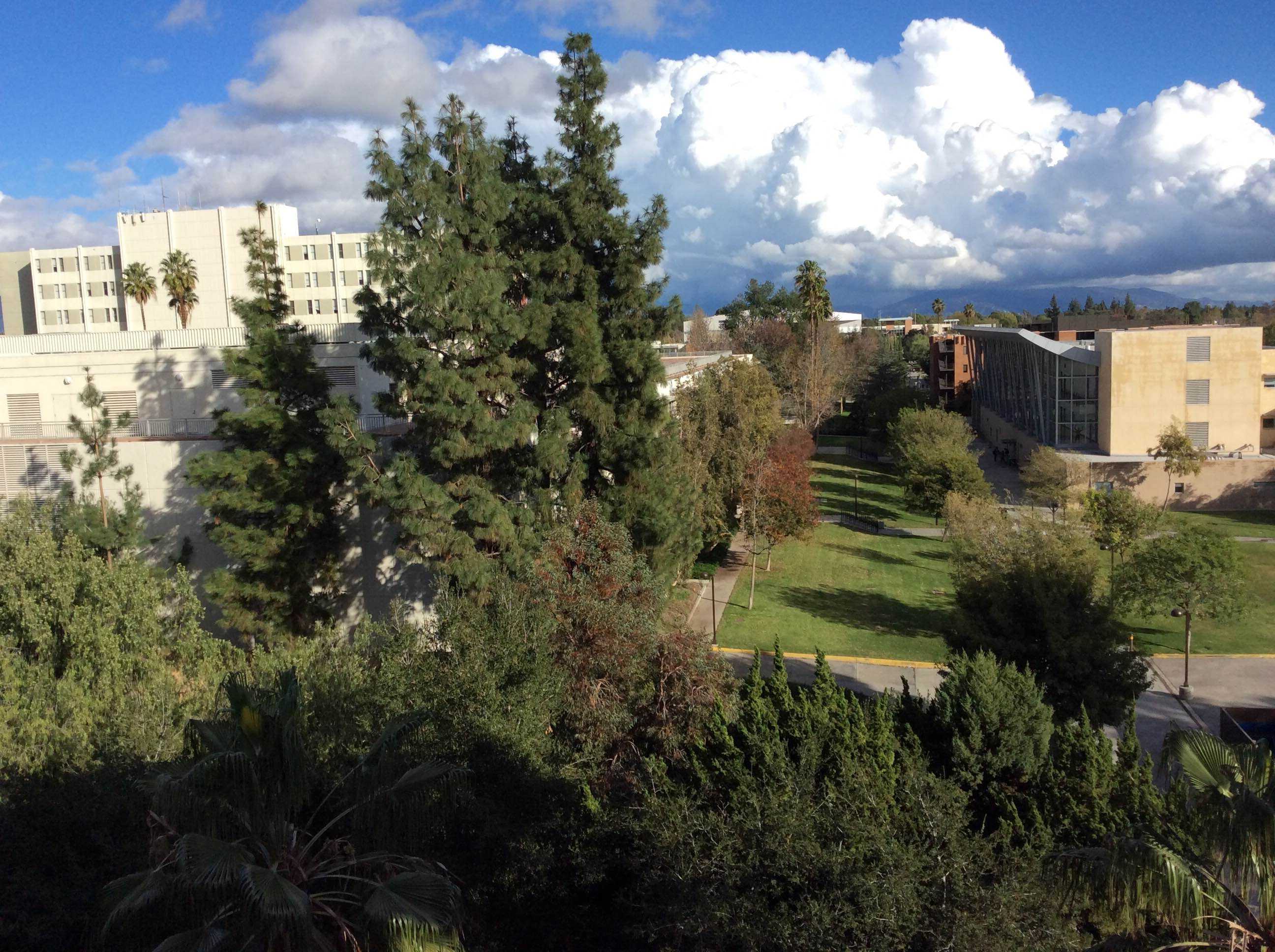 More wet weather expected after last week’s heavy rains – Daily Sundial