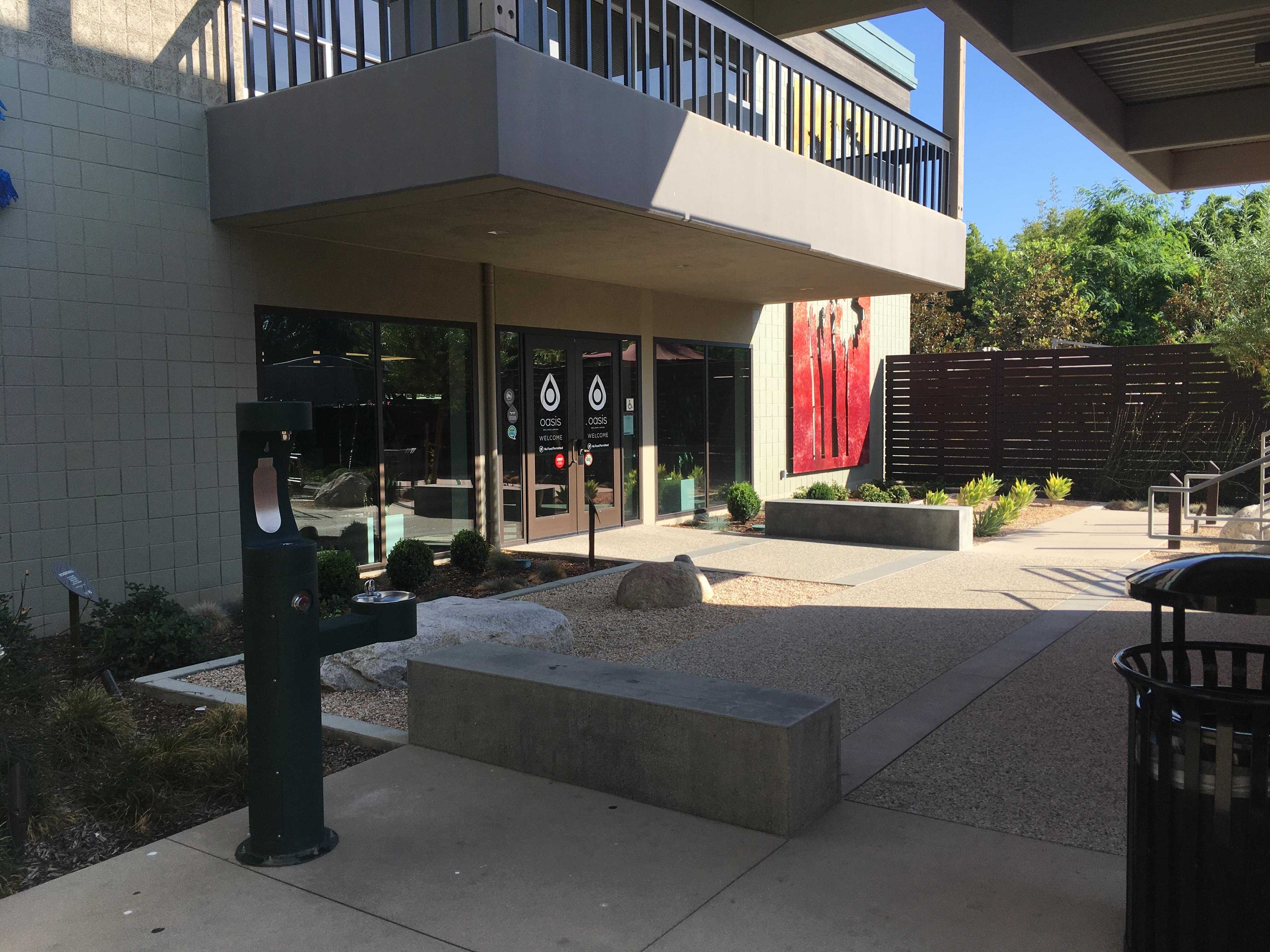 An oasis for the mind – Daily Sundial