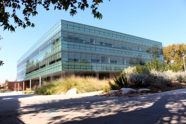 Seven game changers of Matador life today – Daily Sundial