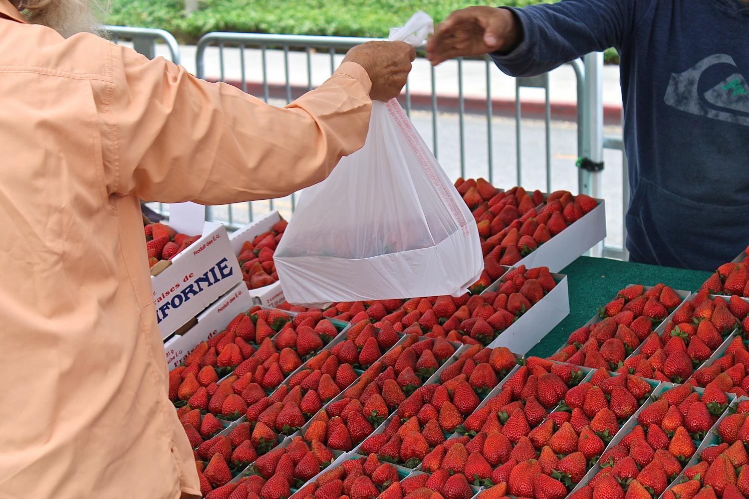 CSUN’s farmers market is closed; its vendors are adapting – Daily Sundial