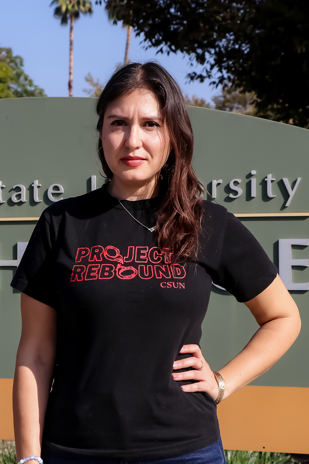 Project Rebound: A Support System For Formerly Incarcerated Students ...