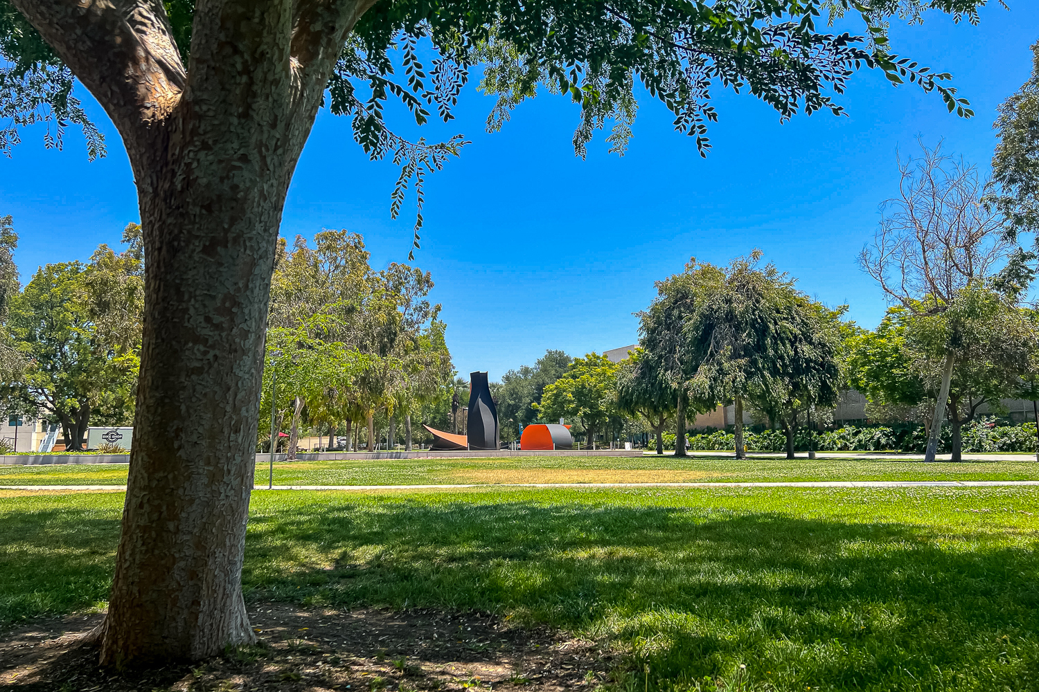 Five spots for students to relax at CSUN – Daily Sundial