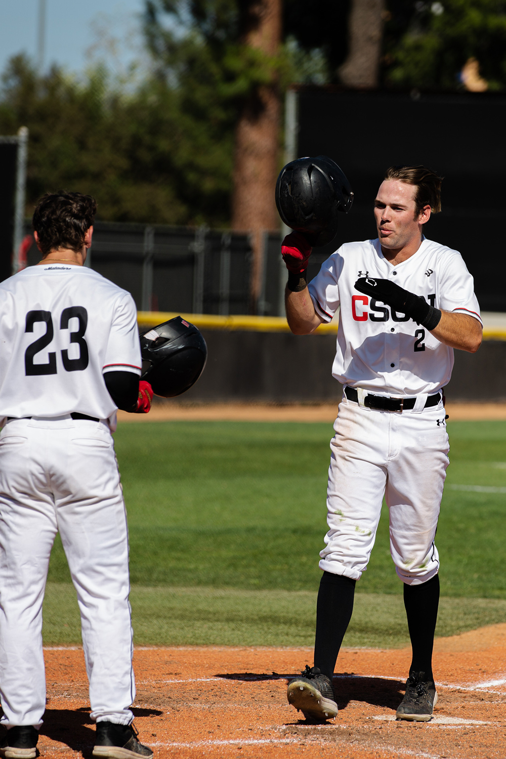 Opinion: Matadors baseball season a smashing success – Daily Sundial