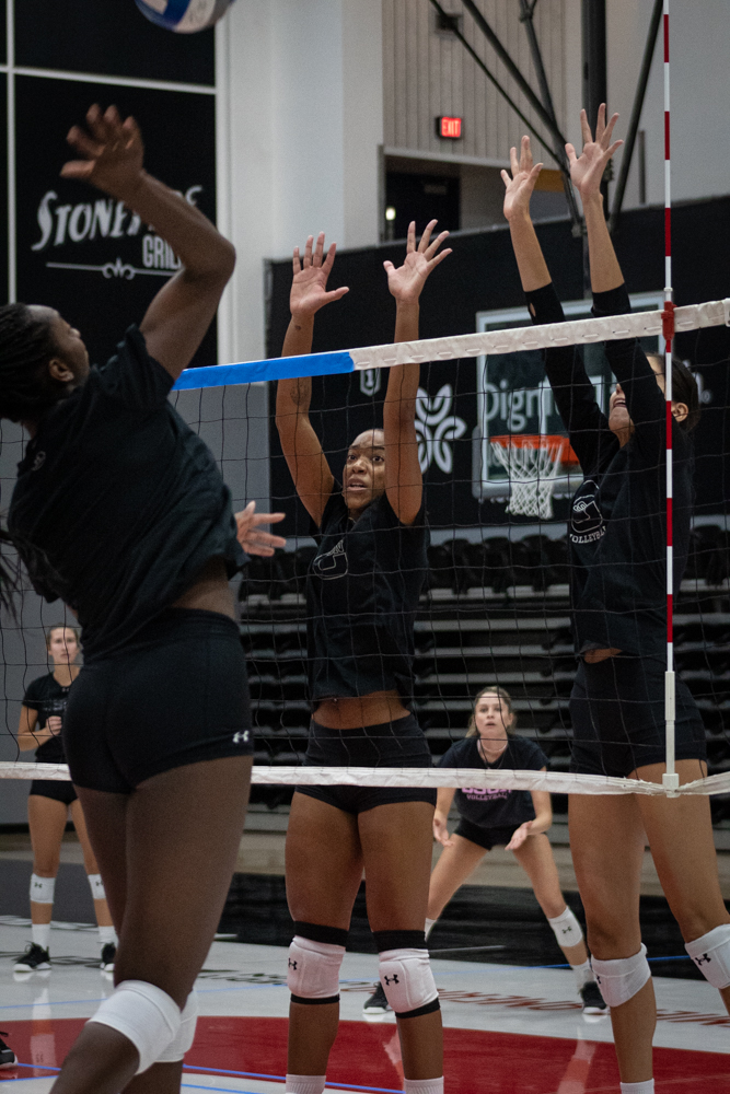 CSUN women’s volleyball has strong showcasing in Bay Area – Daily Sundial
