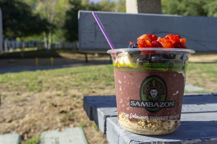 Fresh CSUN food spots – Daily Sundial