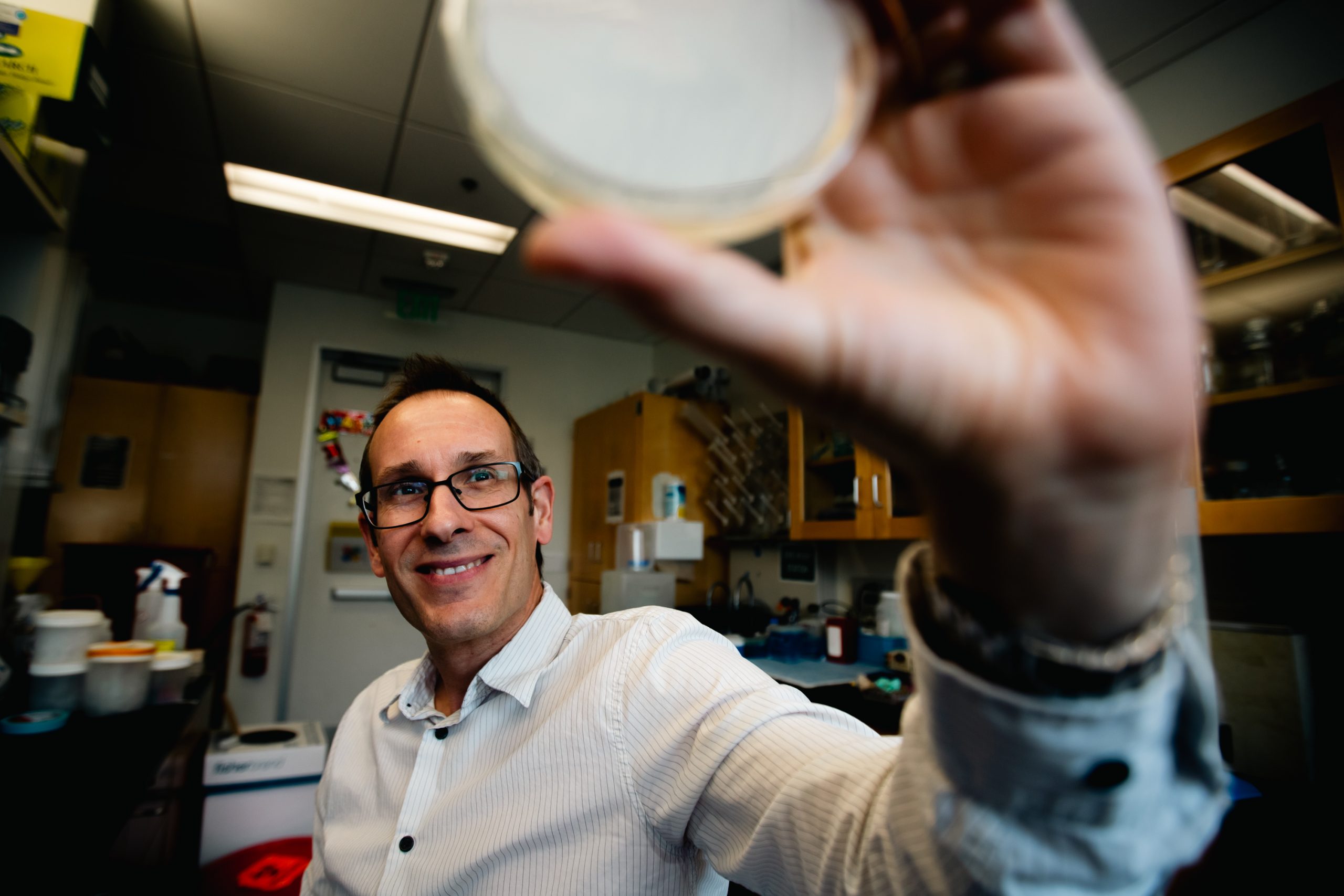 $1 Million NSF grant fuels CSUN research on battling antibiotic resistance – Daily Sundial
