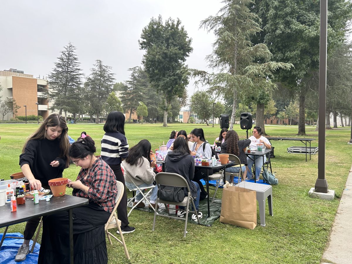 Students learn practical ways to go green at Sustainability Day – Daily ...
