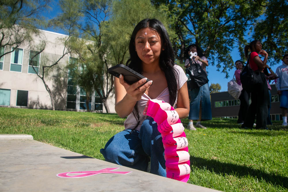 Low turnout for breast cancer walk highlights awareness gaps – Daily ...